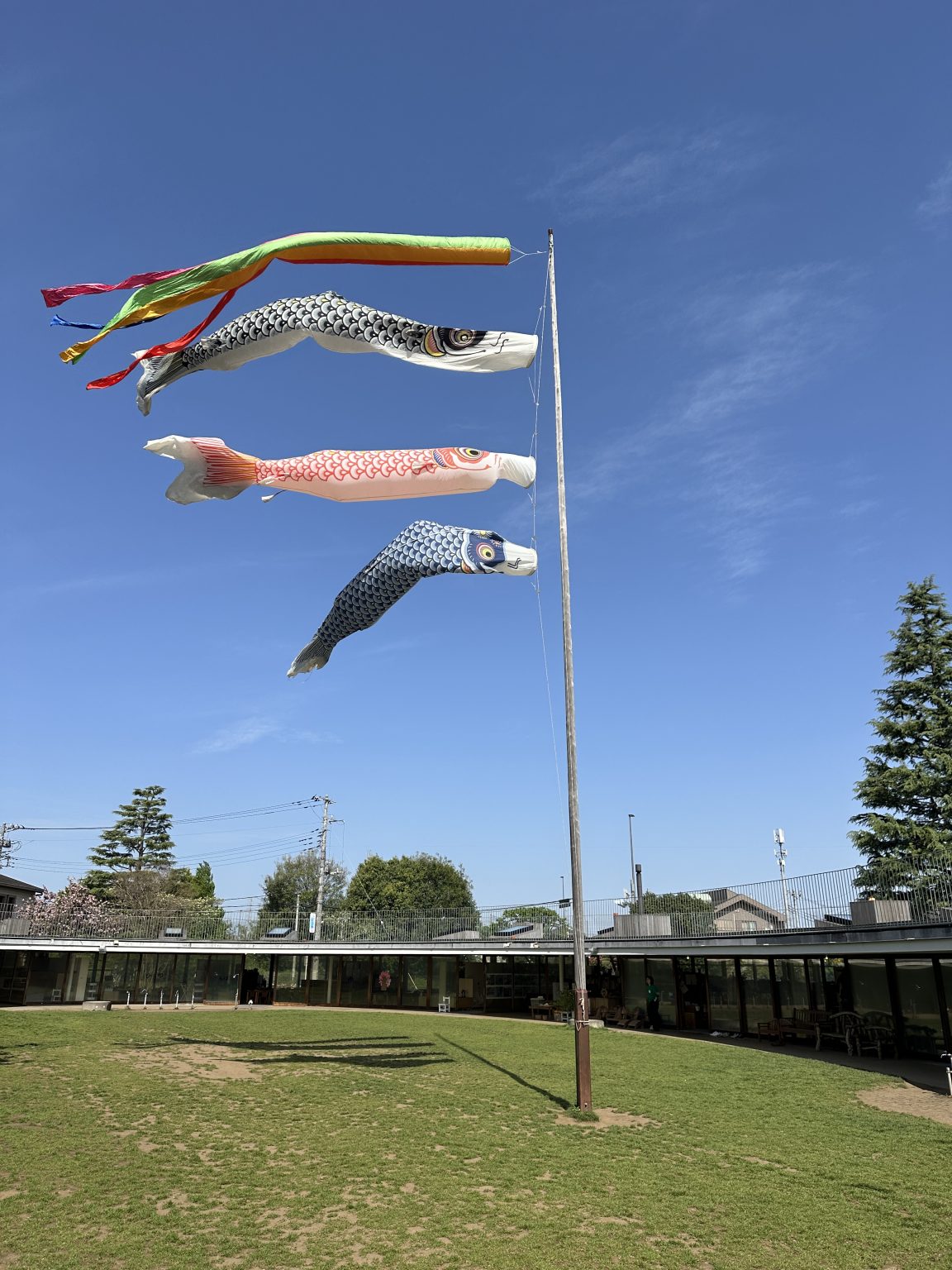 園長だより vol . 276 （2024.4.30） | ふじようちえん